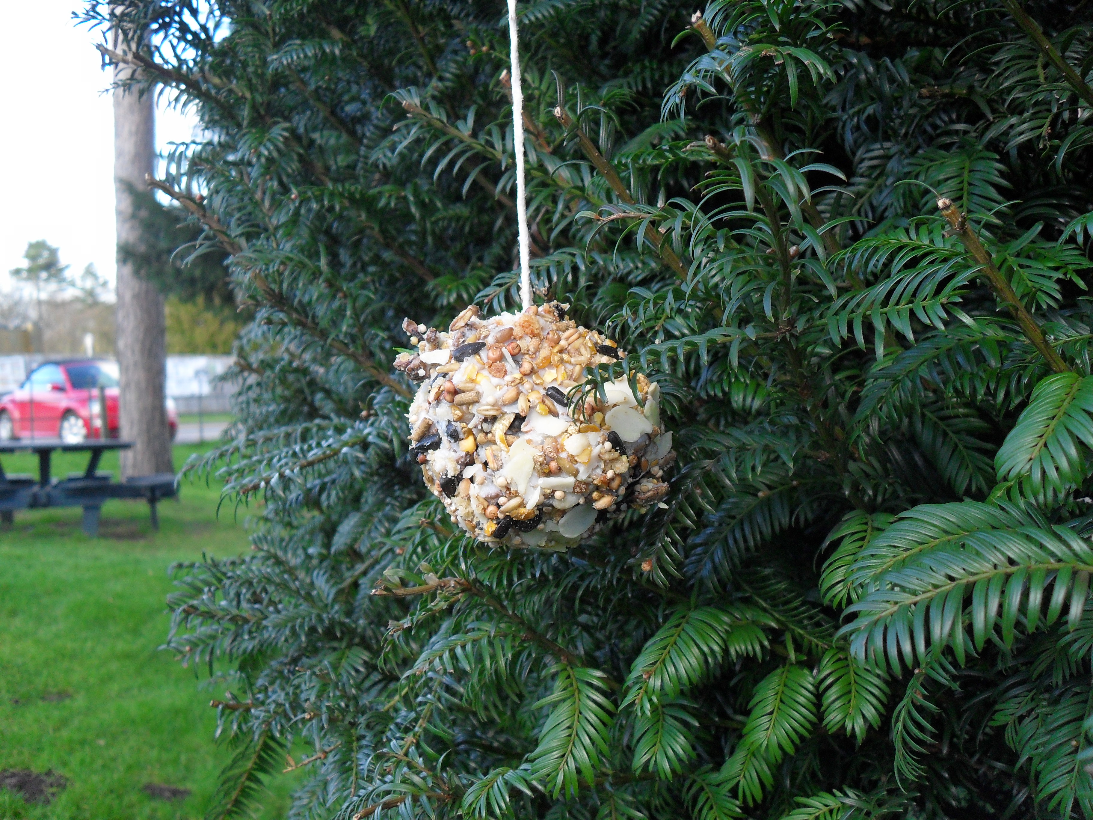 Children's Activity- make a pine cone bird feeder - Wentworth Castle